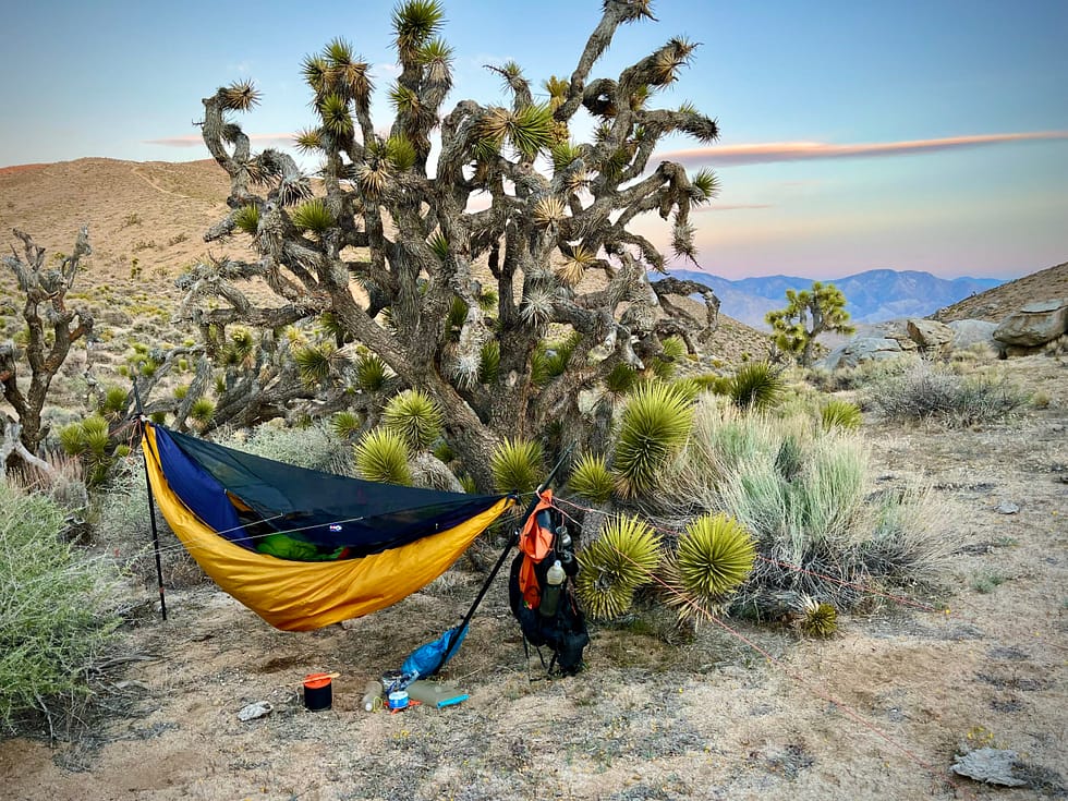 Tensa Trekking Treez hammock stand : Tensa Outdoor